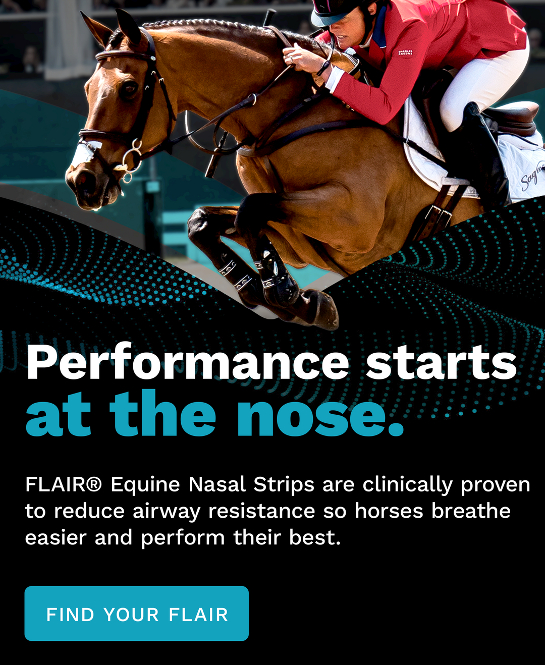 Performance Starts at the Nose | FLAIR® Equine Nasal Strips – Achieve ...